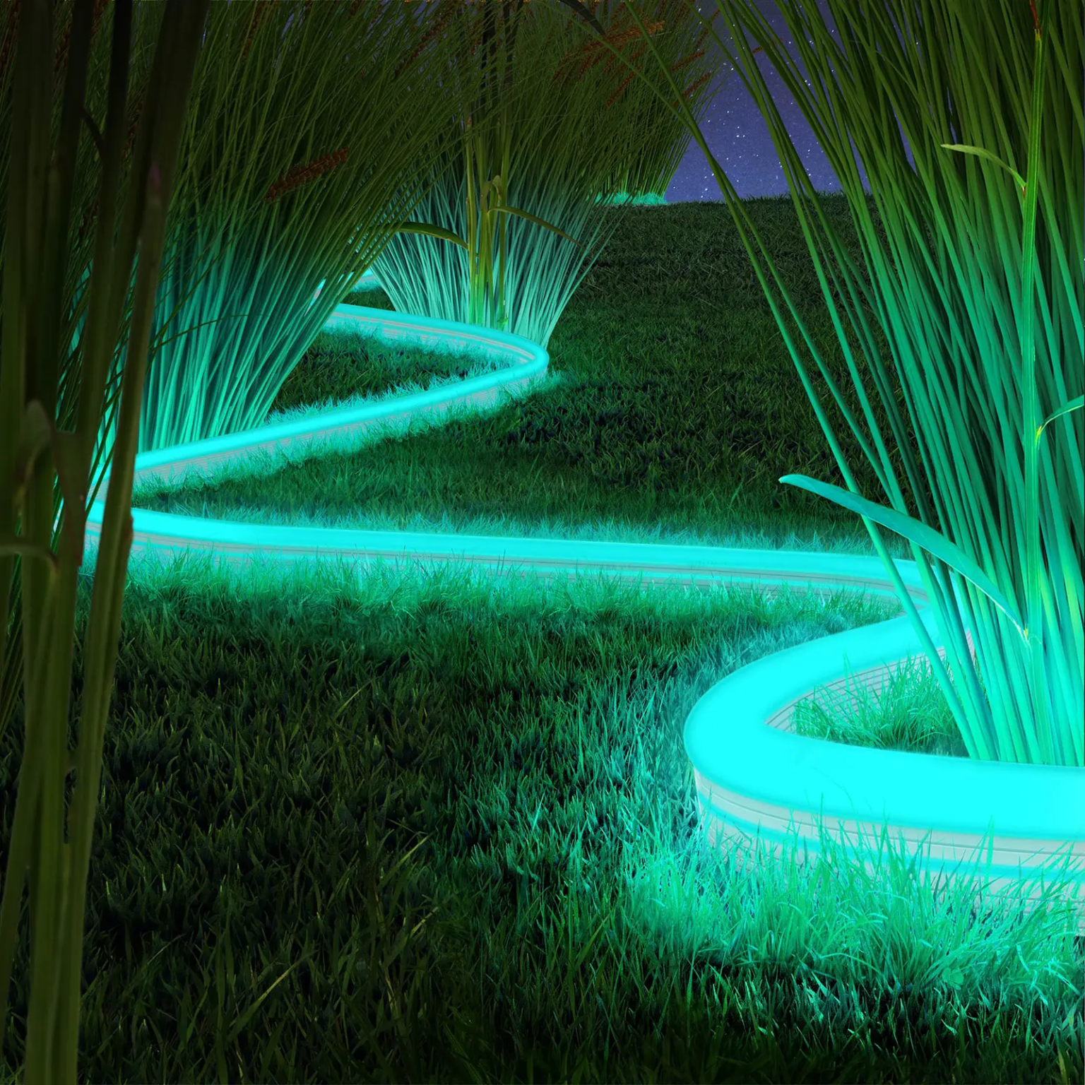 Innr LED strip: Dit moet je weten over de Innr LED strip